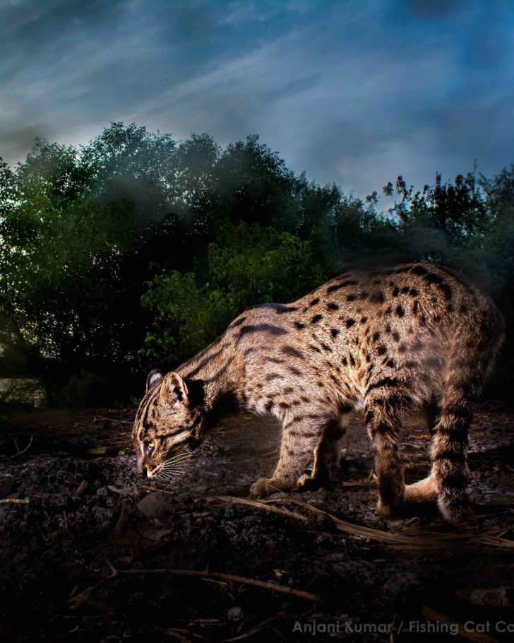 Gal Oya: naturaleza en estado puro en Sri Lanka