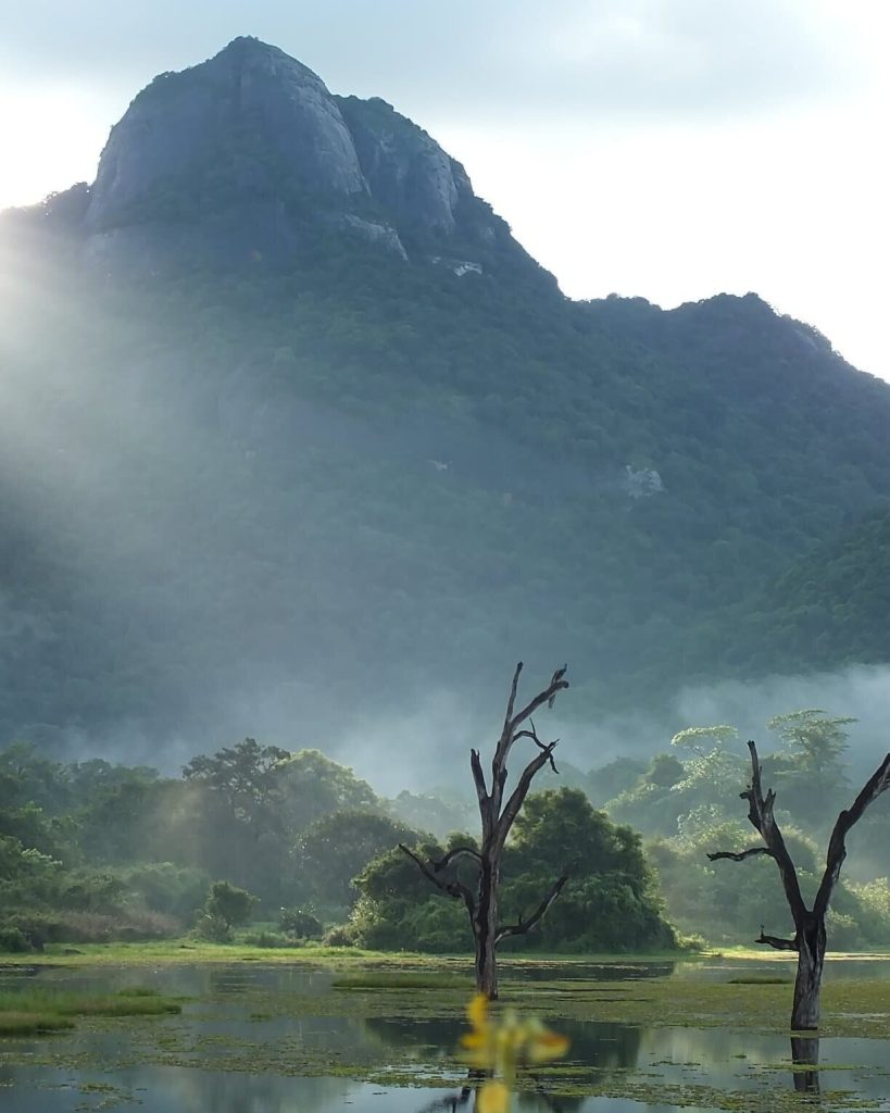 Gal Oya: naturaleza en estado puro en Sri Lanka